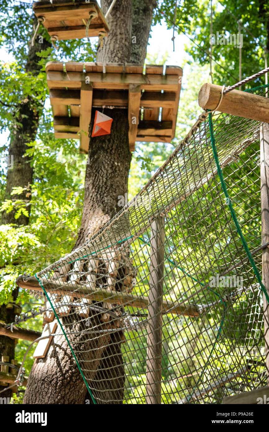 Wooden blocks hanging between tree, low angle view difficult path in ...