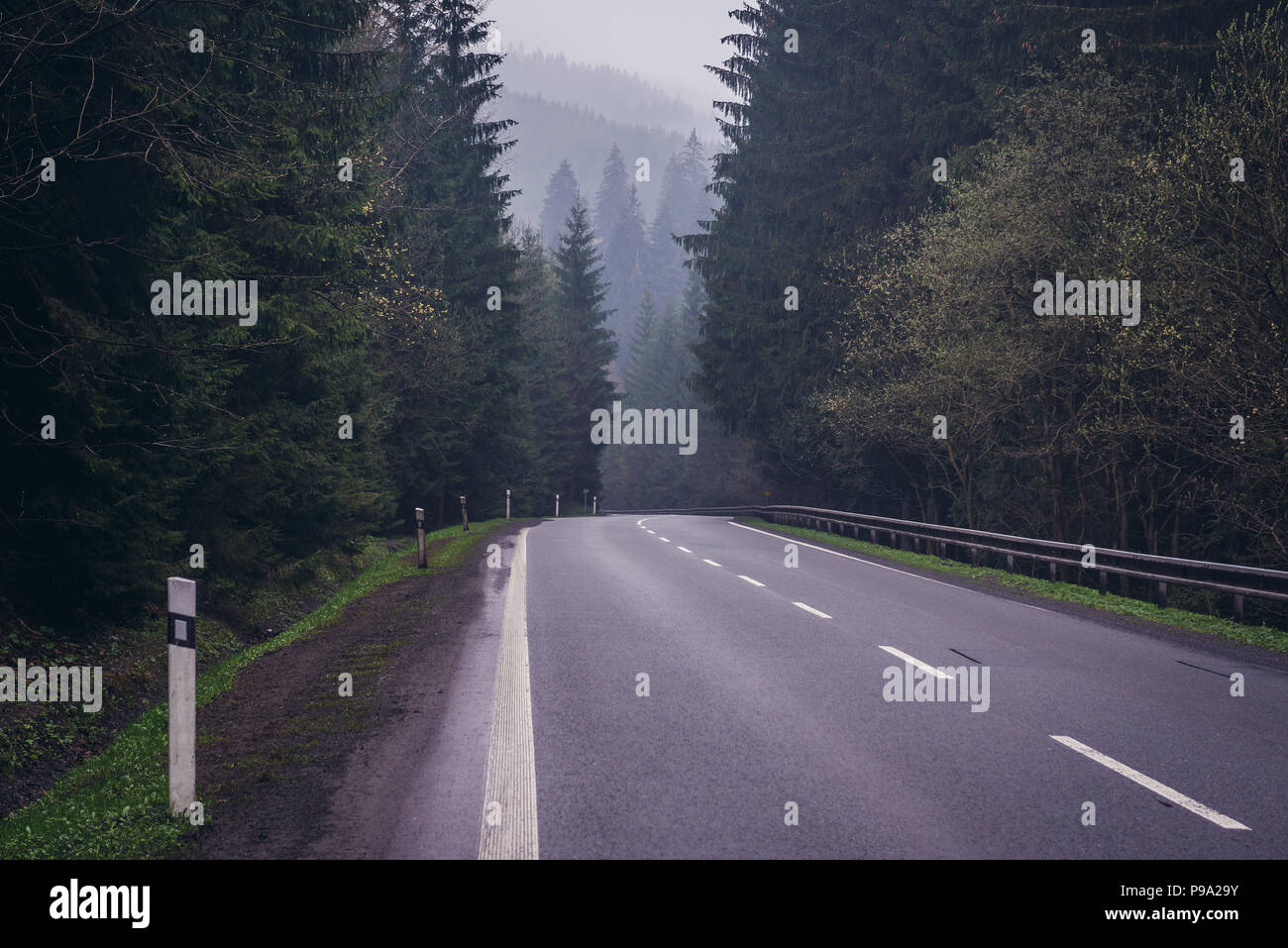 Road 56 near Stare Hamry in Moravian-Silesian Region, Moravian Silesian ...