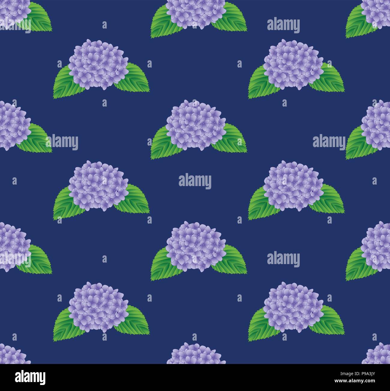 Hydrangea hydrangea macrophylla Stock Vector Images - Alamy
