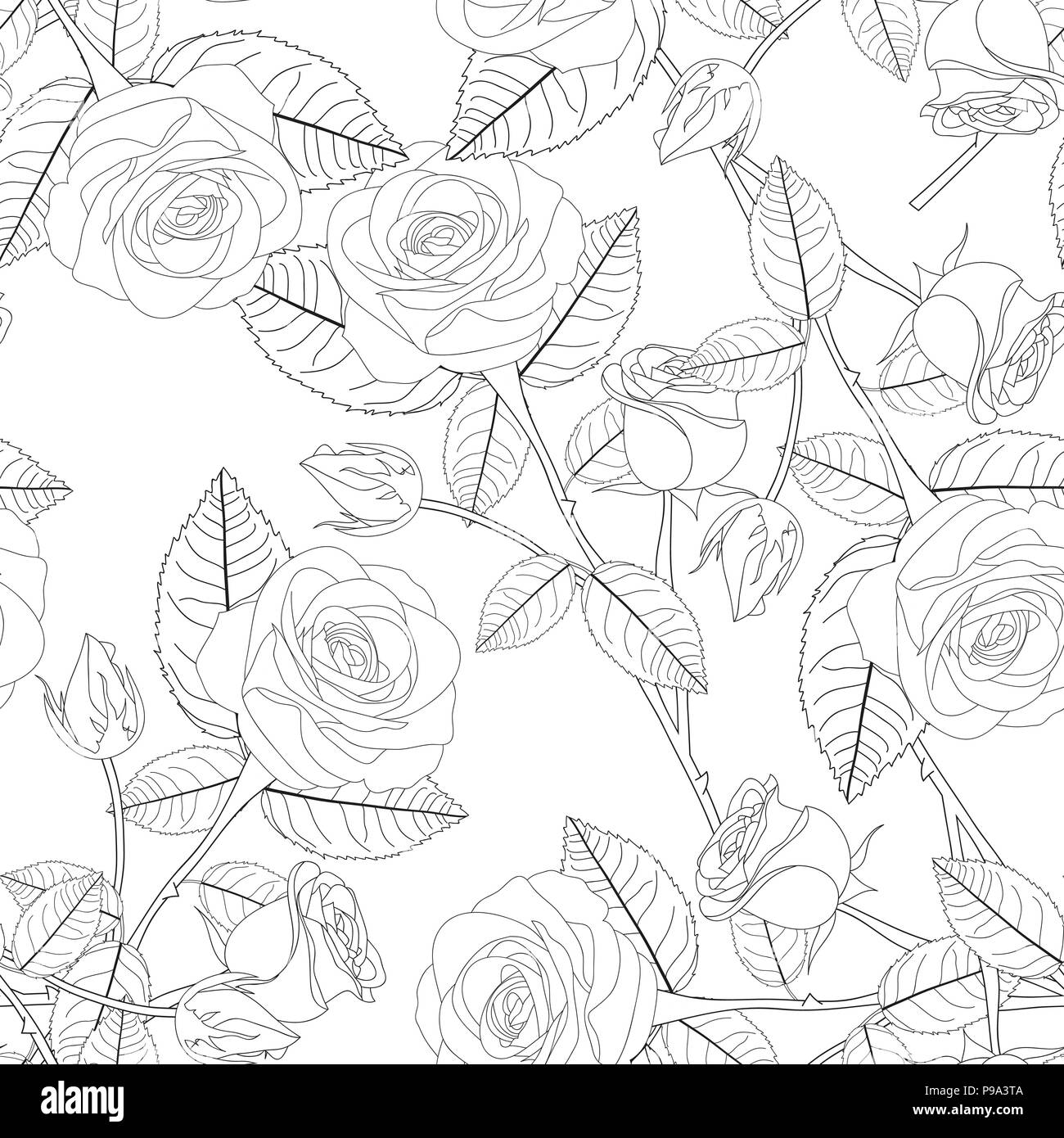 Beautiful Rose - Rosa on White Background. Valentine Day. Vector ...
