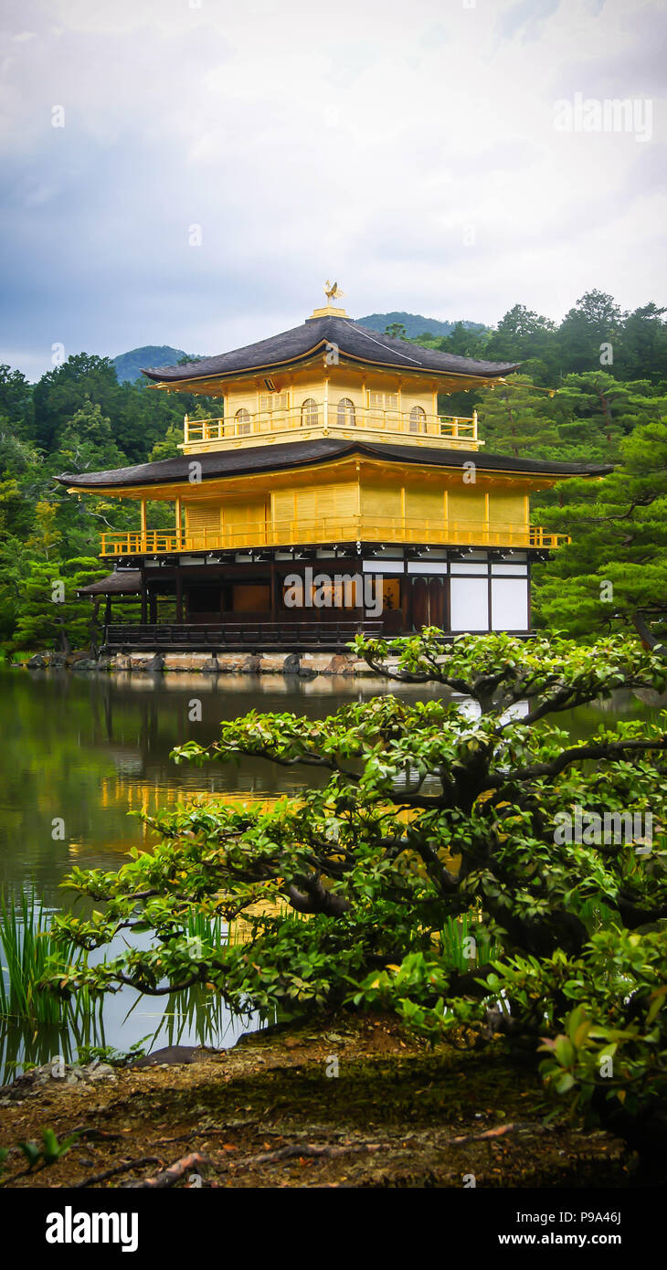 Vibe of tokyo hi-res stock photography and images - Alamy