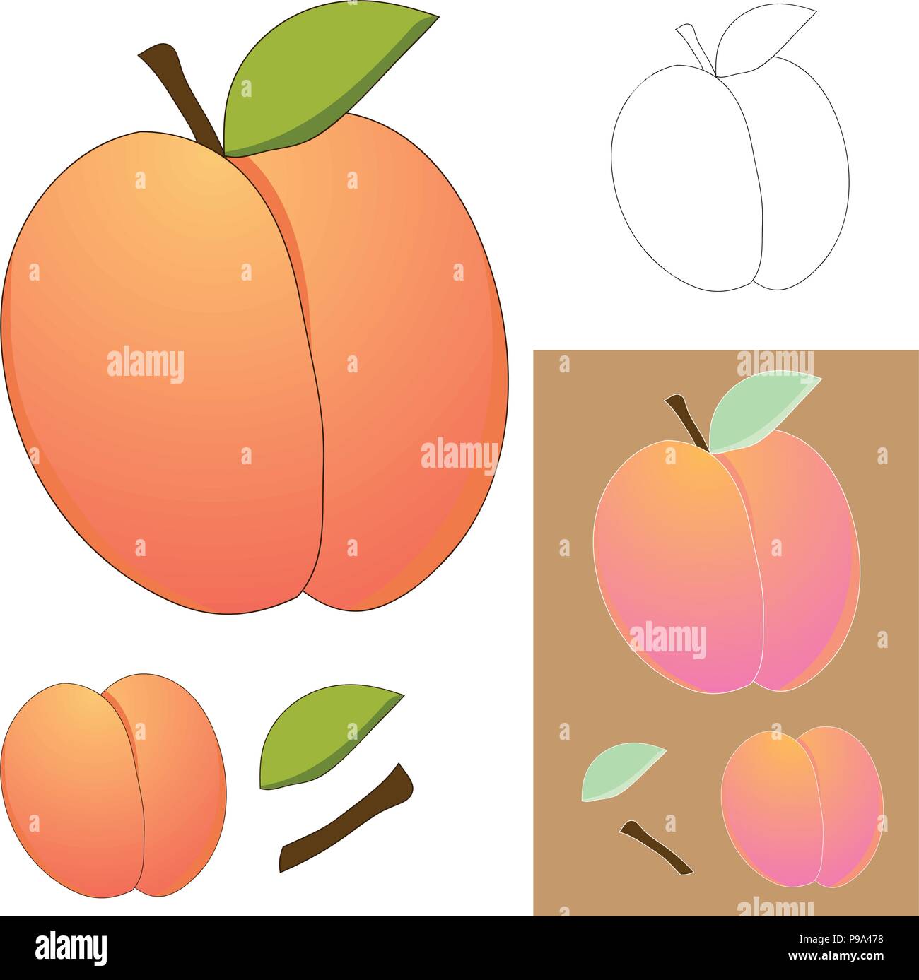 Cute Peach isolated on White Background. Vector illustration Stock ...