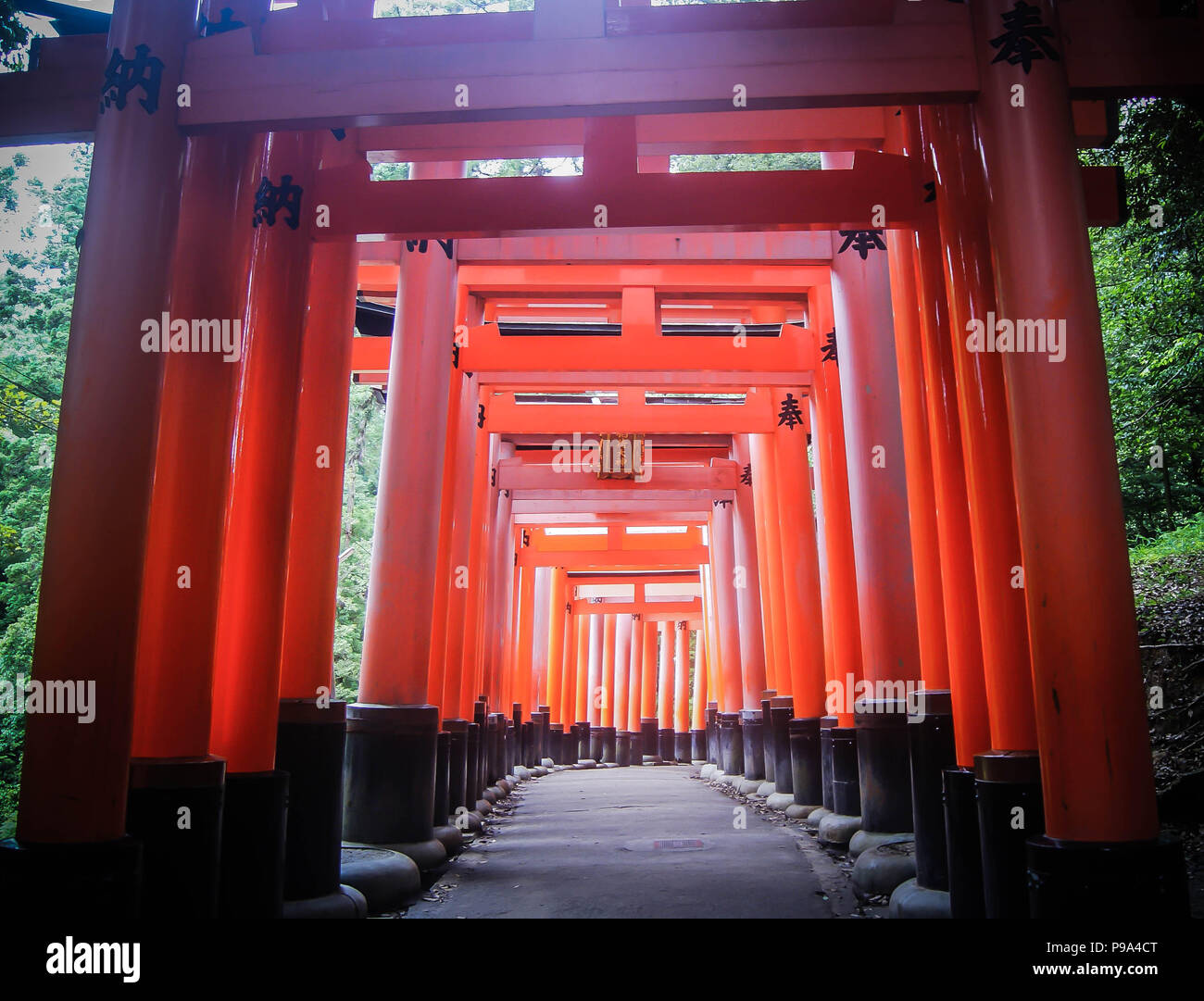 Vibe Of Tokyo High Resolution Stock Photography and Images - Alamy