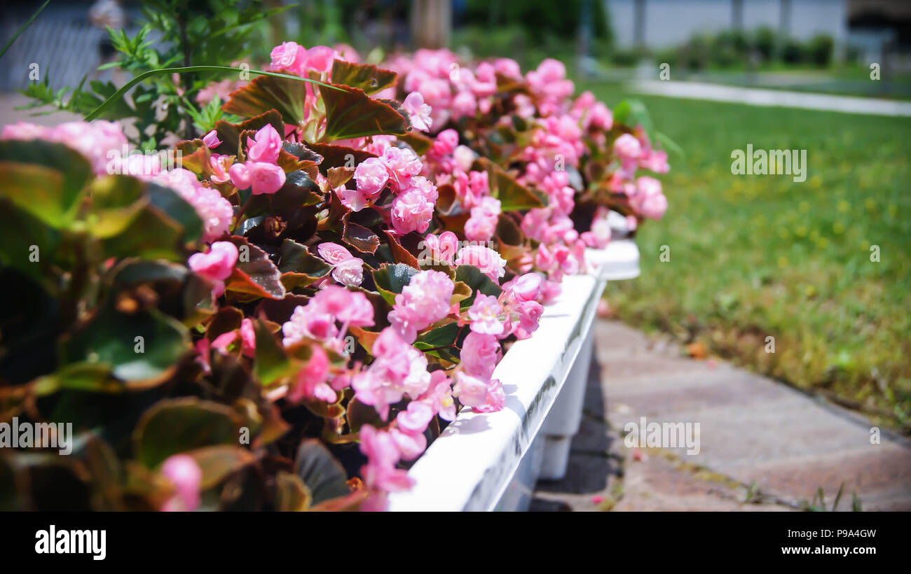 Vibe of tokyo hi-res stock photography and images - Alamy