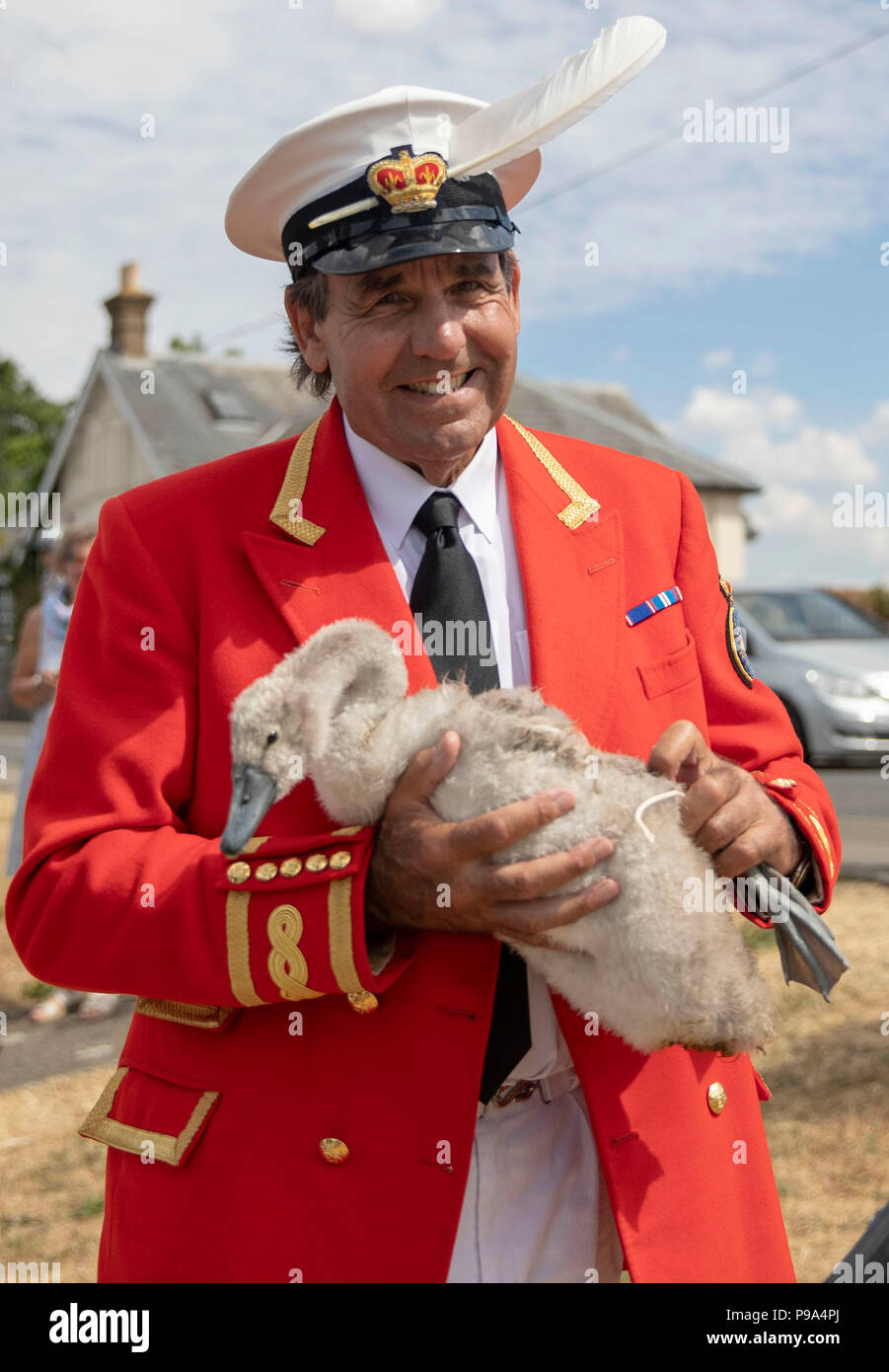 The Queen's Swan Marker David Barber holds a cygnet as the ancient ...