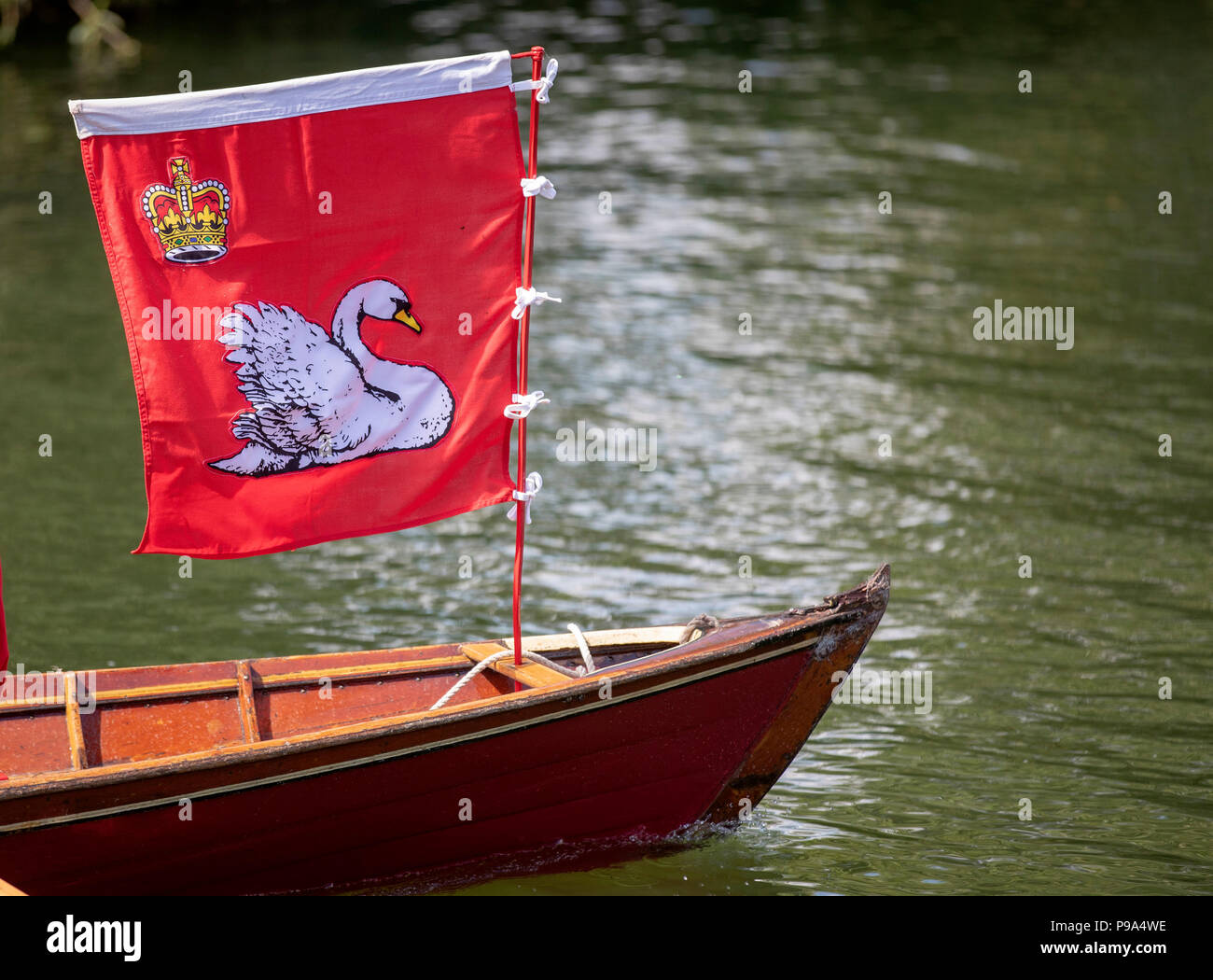 The ancient tradition of counting swans along the River Thames begins ...