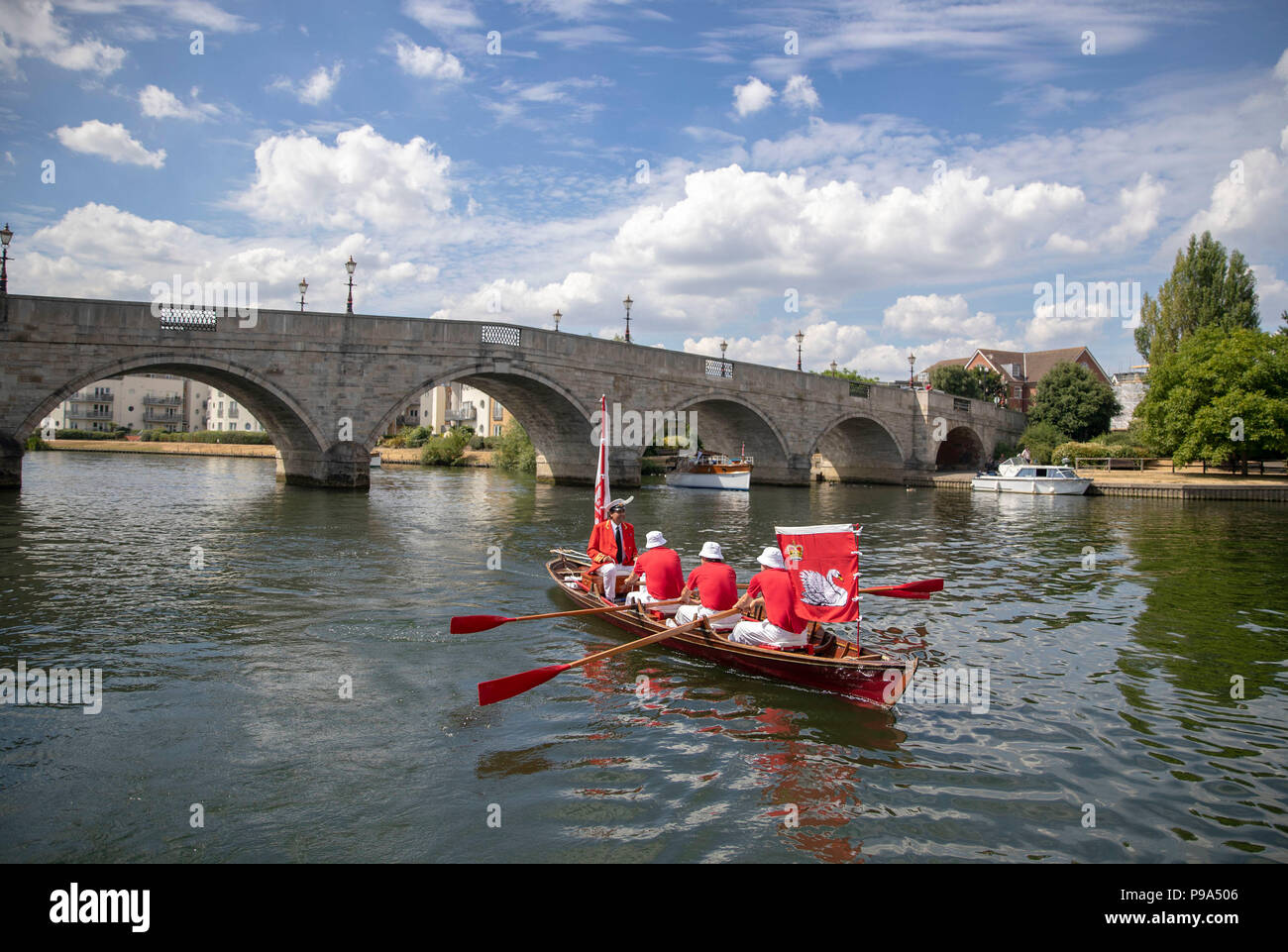 The Queen's Swan Uppers row along the River Thames near Shepperton ...