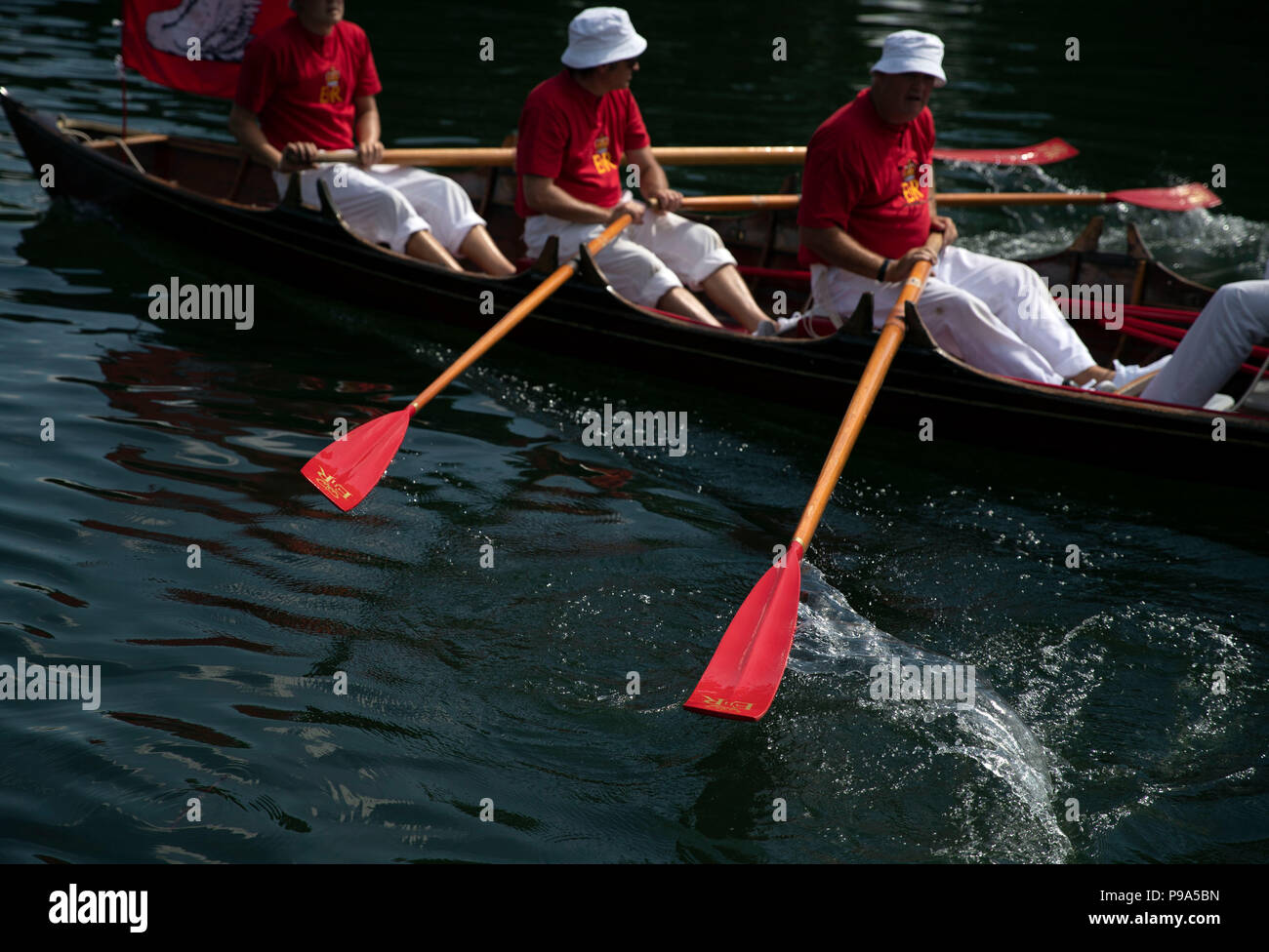 Row of swans hi-res stock photography and images - Alamy