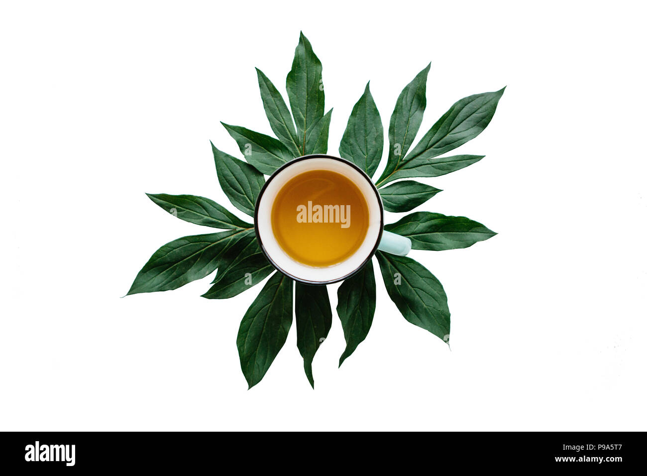 Fresh fragrant and useful herbal or green tea in a mug with plant ...