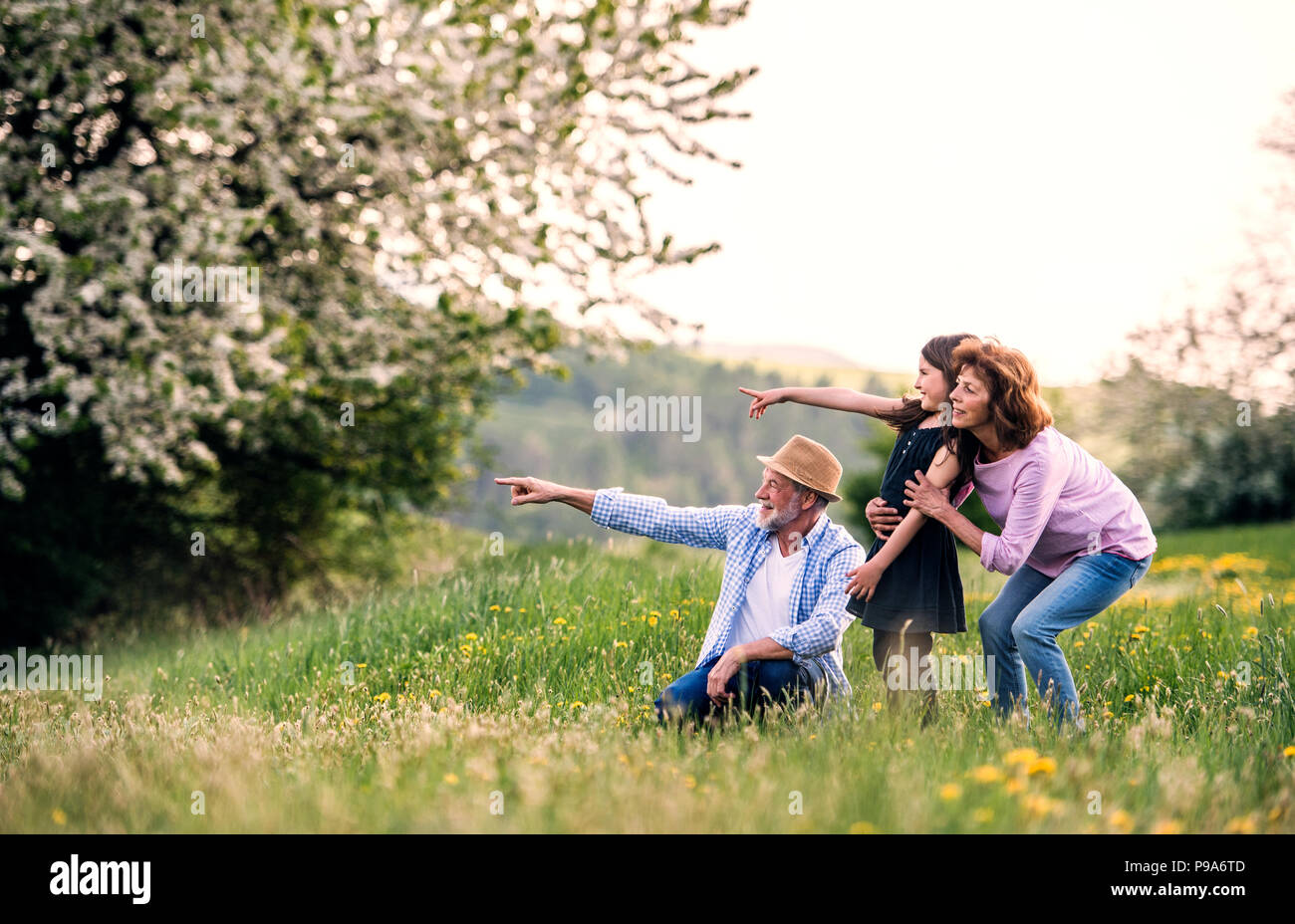 Finger pointing to tree hi-res stock photography and images - Alamy