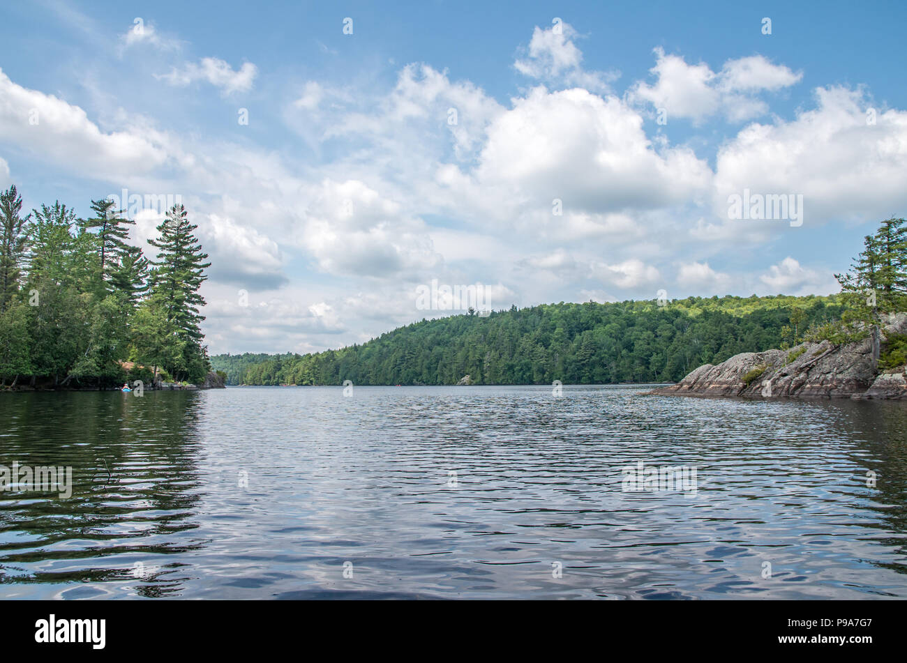 Female kayaker on a remote pond in the Adirondack wilderness Stock ...