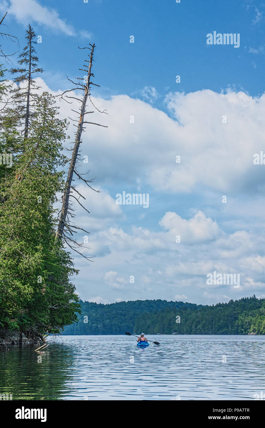 Female kayaker on a remote pond in the Adirondack wilderness Stock ...