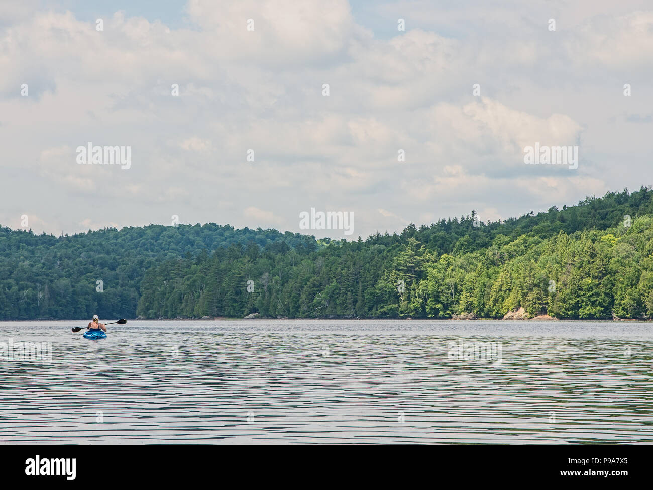Female kayaker on a remote pond in the Adirondack wilderness Stock ...
