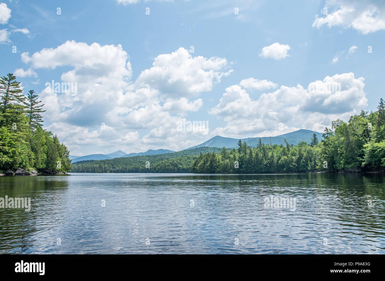 Lake pond trees hi-res stock photography and images - Alamy