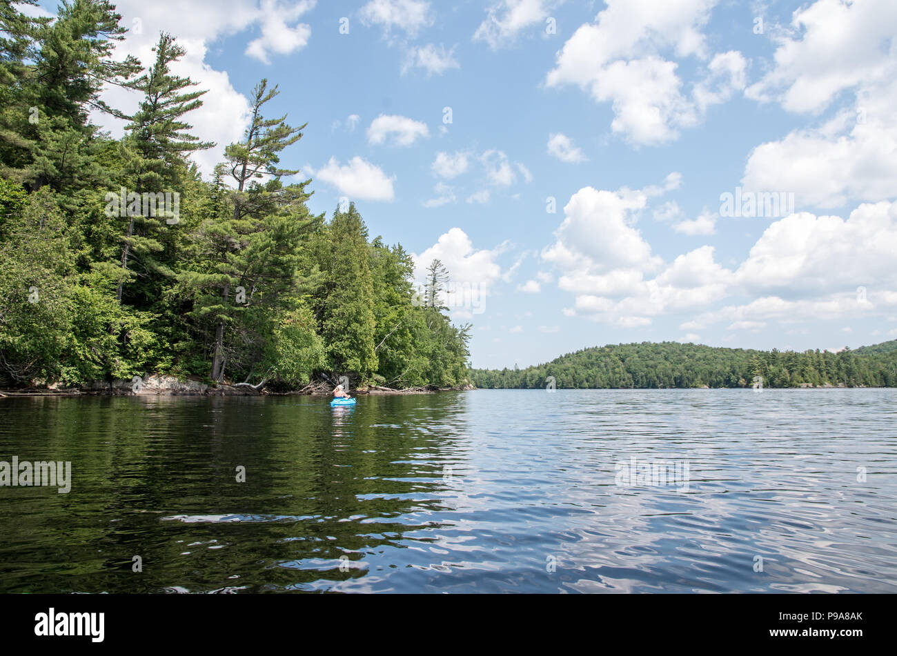 Female kayaker on a remote pond in the Adirondack wilderness Stock ...