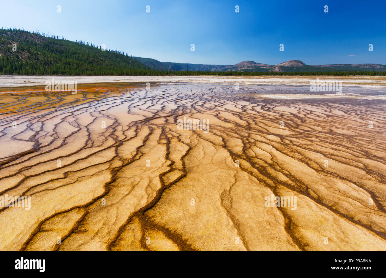 Patterns created by hot springs at Yellowstone National Park Stock ...