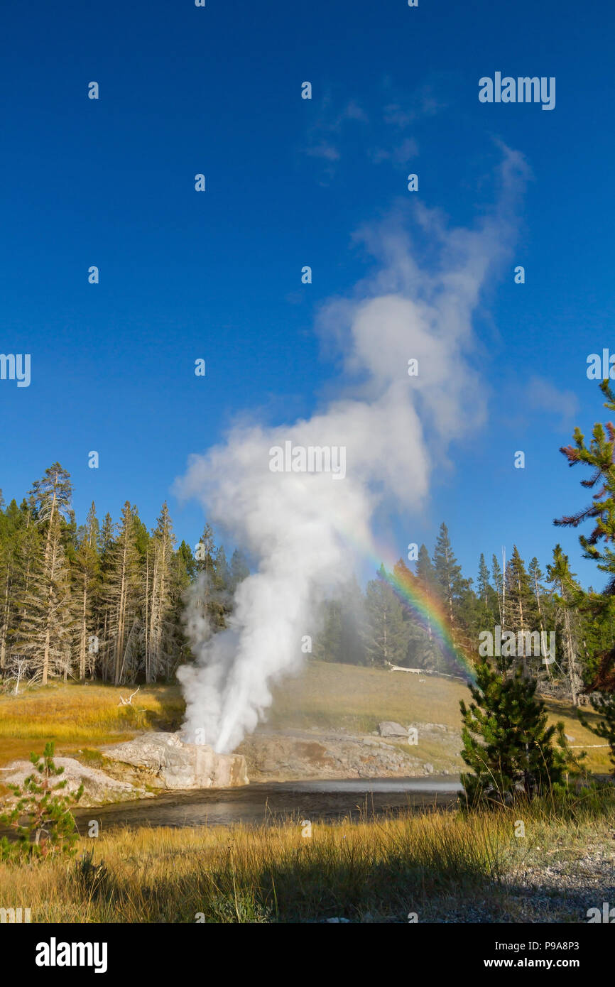 Geyser Yellowstone Eruption Rainbow High Resolution Stock Photography ...