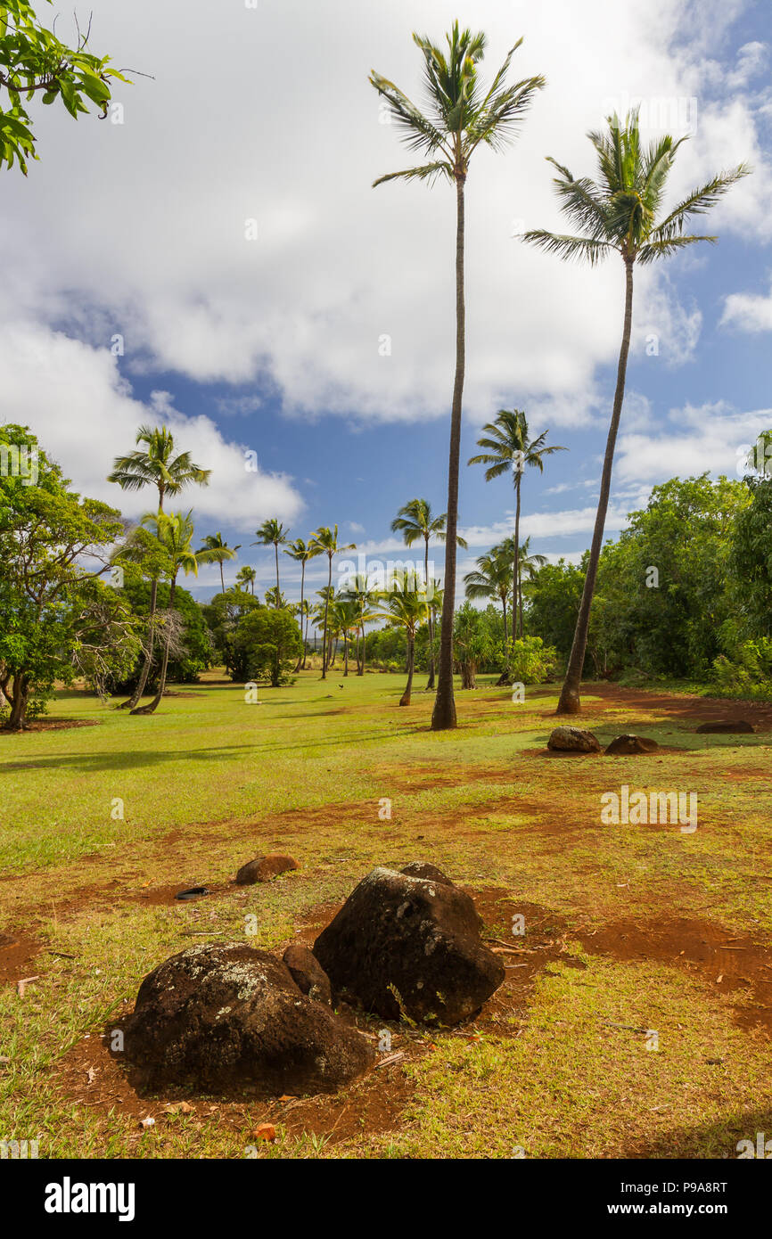 Rocks and soil tropical hi-res stock photography and images - Alamy