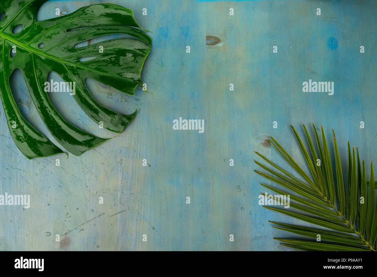 Summer flat lay scenery Stock Photo - Alamy