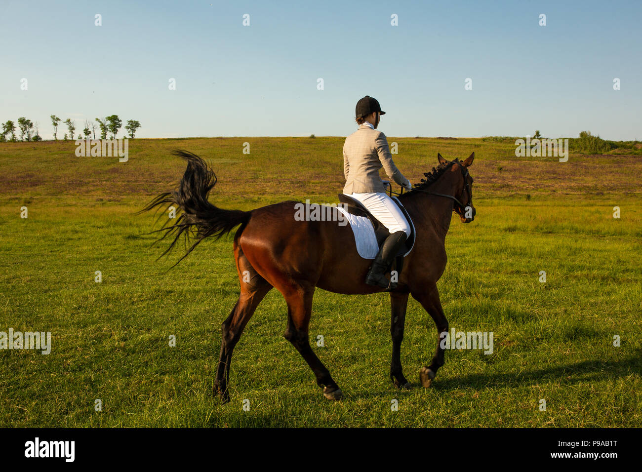 Young dressage lady rider on hi-res stock photography and images - Alamy
