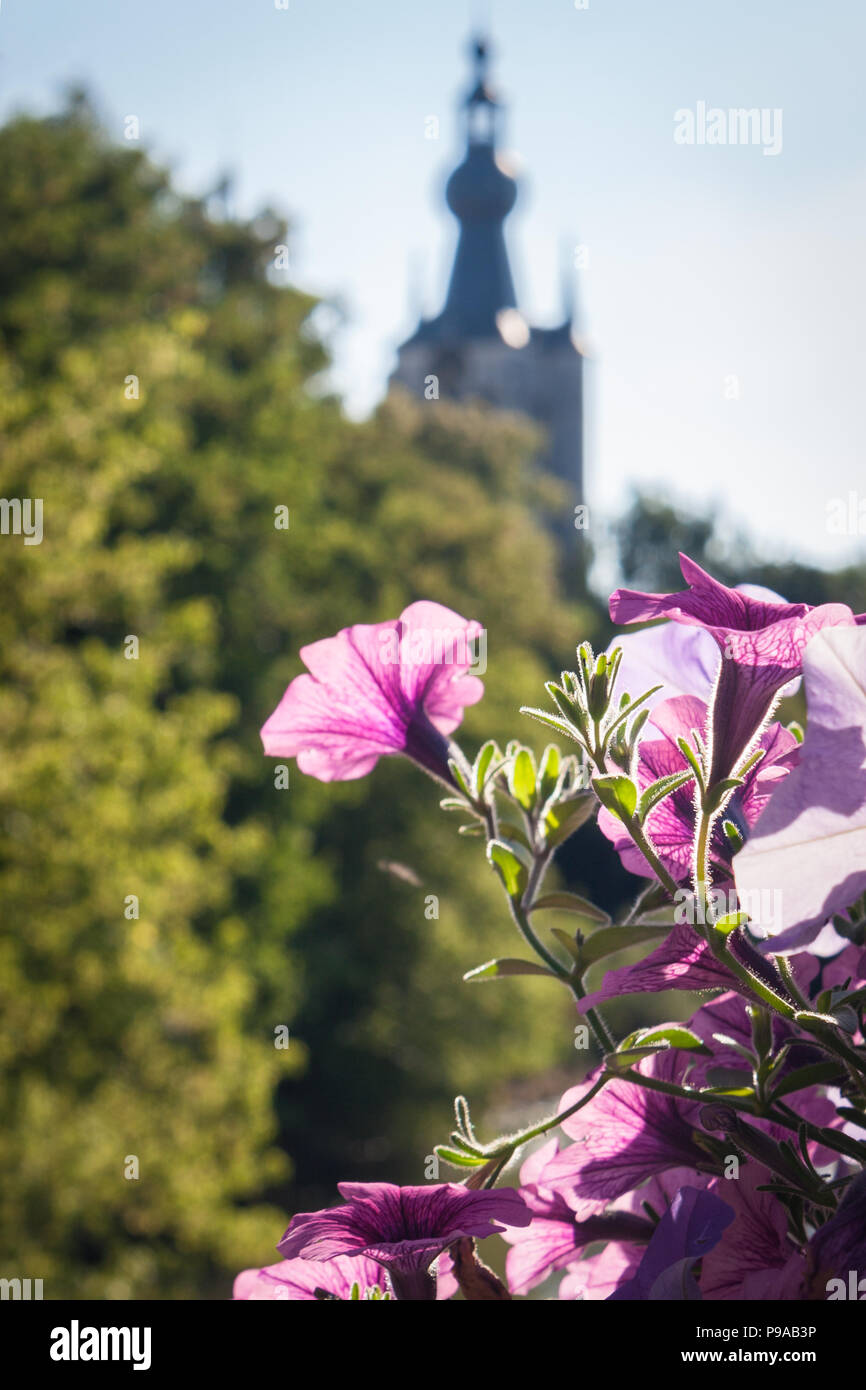 The Demer River in Aarchot, Belgium, with the Church of Our Lady in the ...