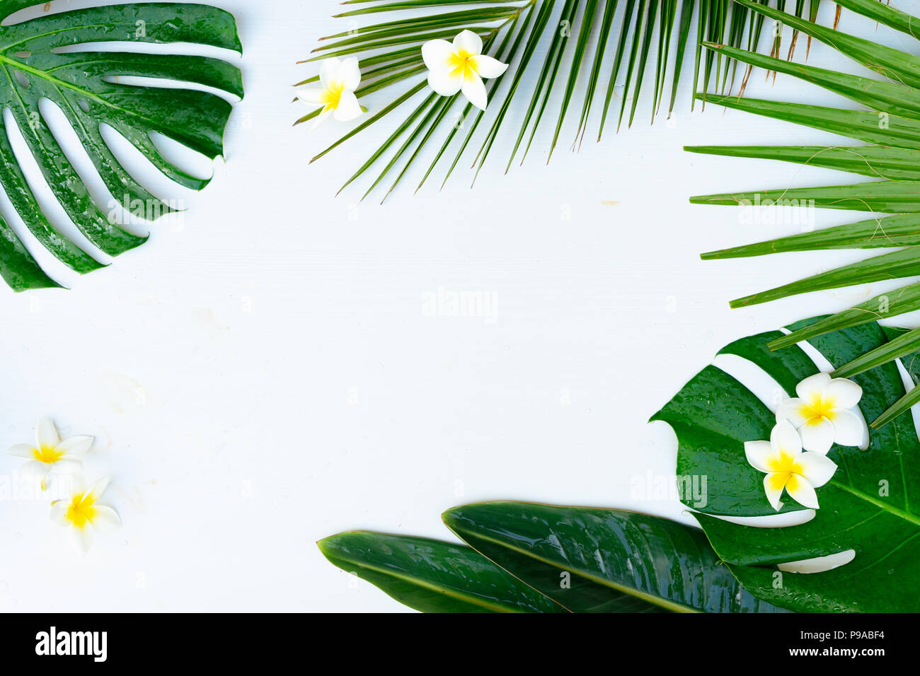 Summer flat lay scenery Stock Photo - Alamy