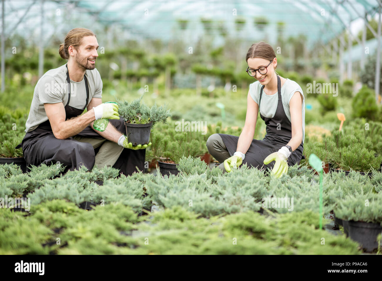 Young couple of workers in uniform taking care of plants at the ...