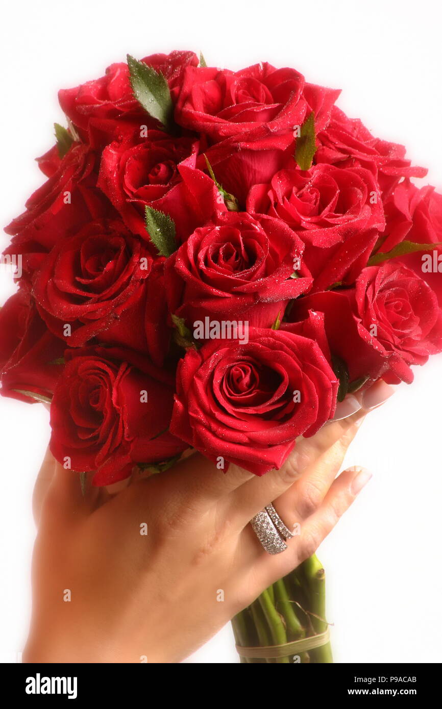 woman hand holding a bouquet of red roses Stock Photo - Alamy