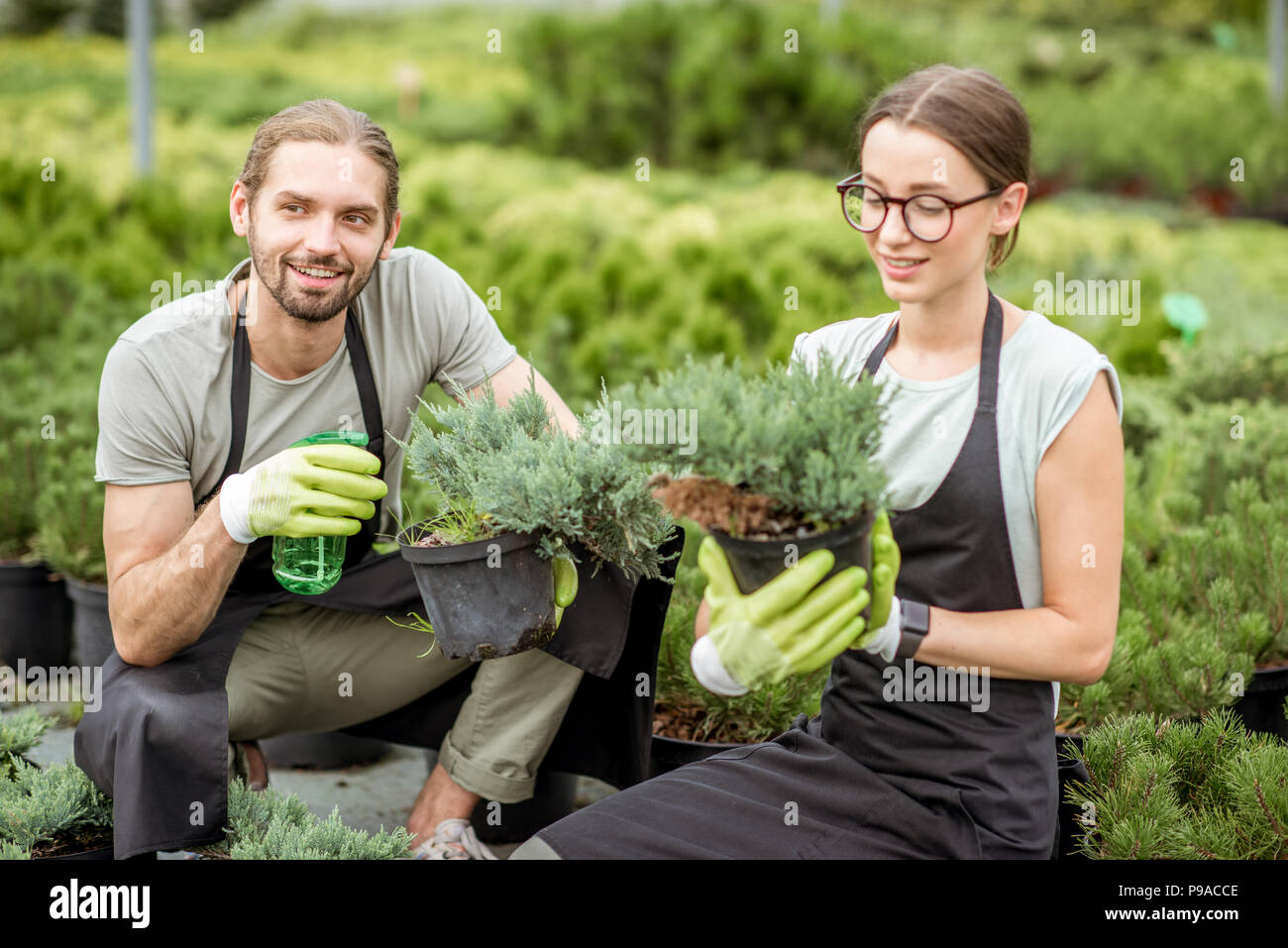Young couple of workers in uniform taking care of plants at the ...