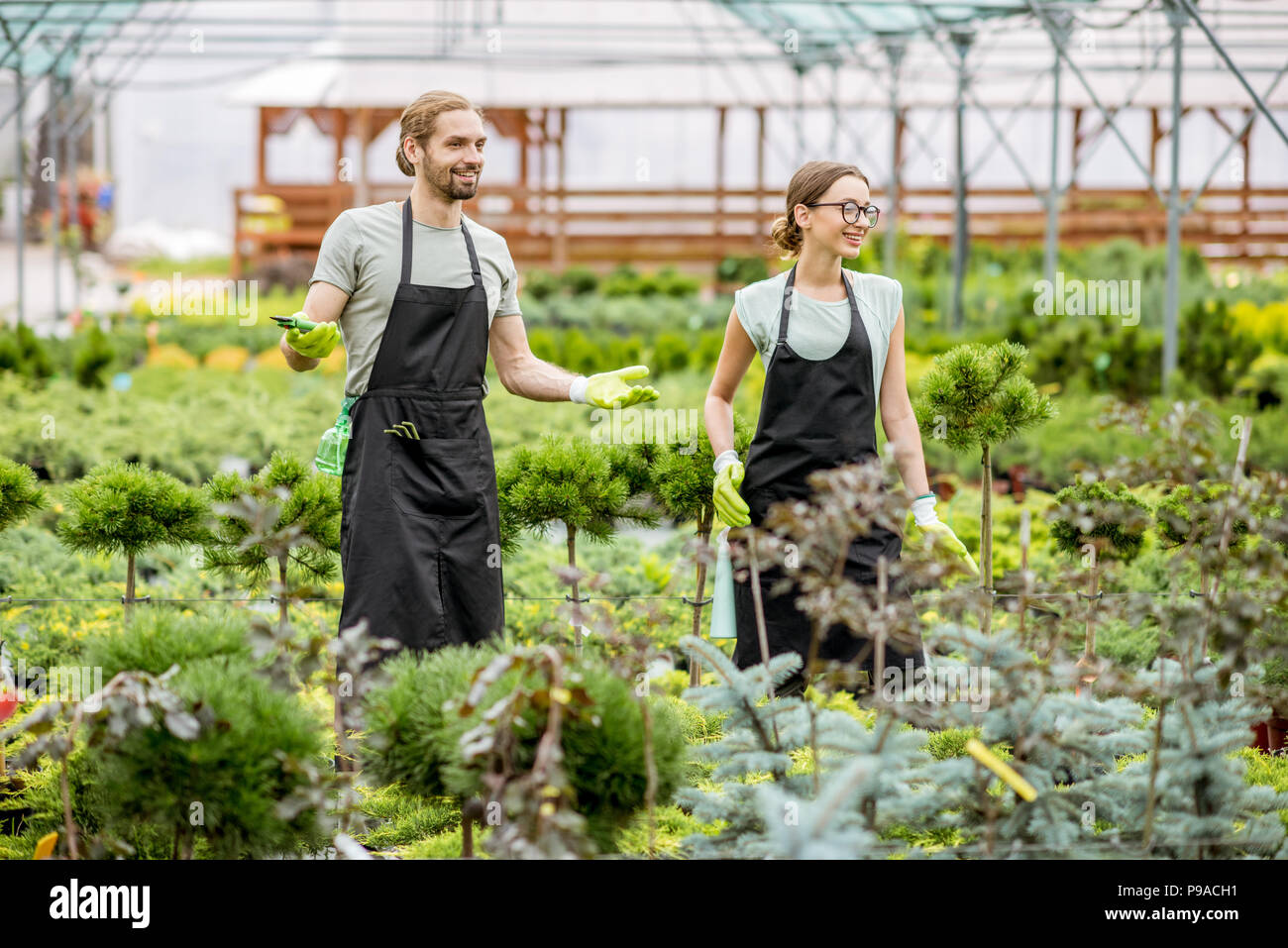 Couple garden workers working in hi-res stock photography and images ...