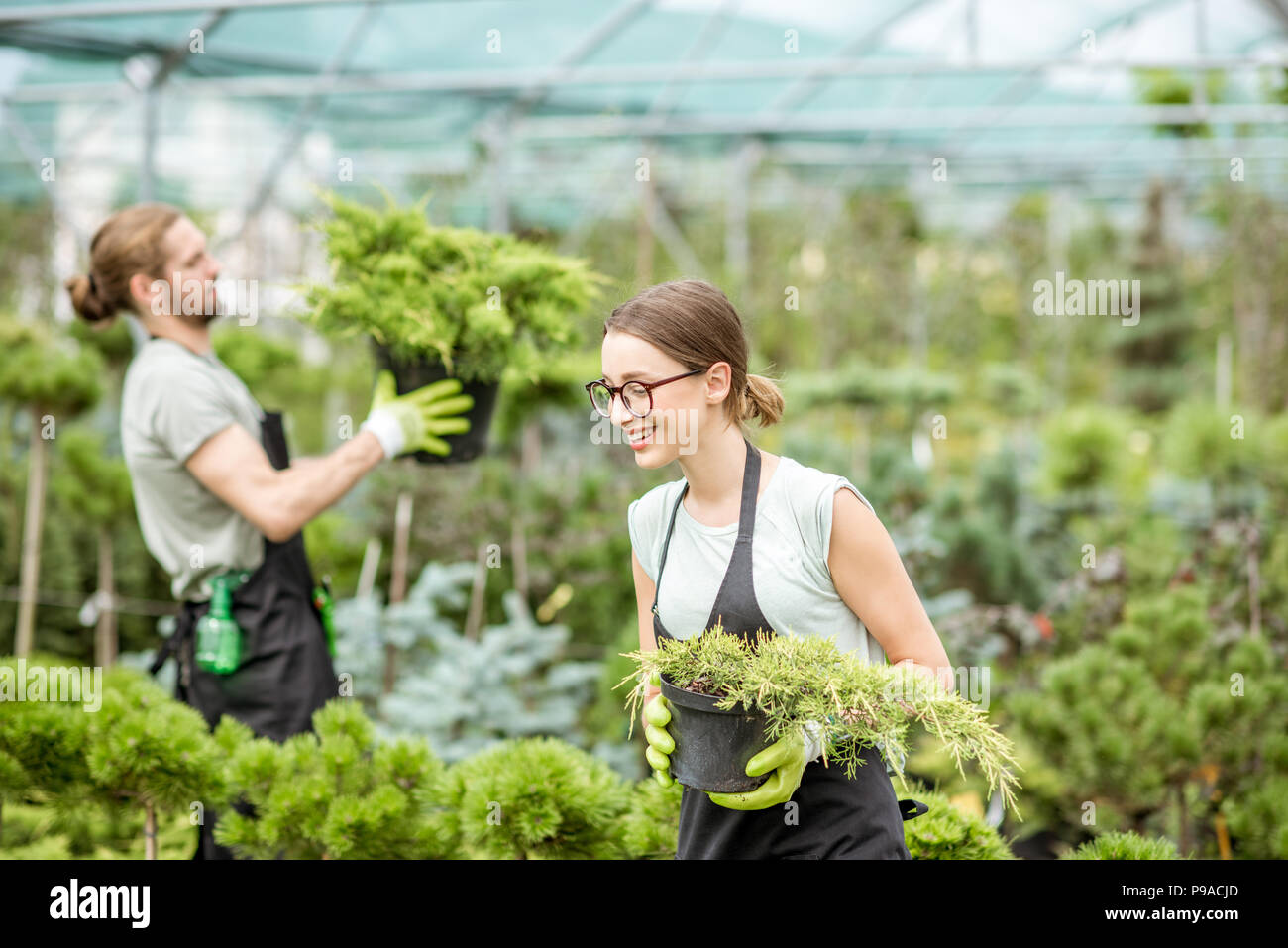 Woman carrying pot plant hi-res stock photography and images - Alamy