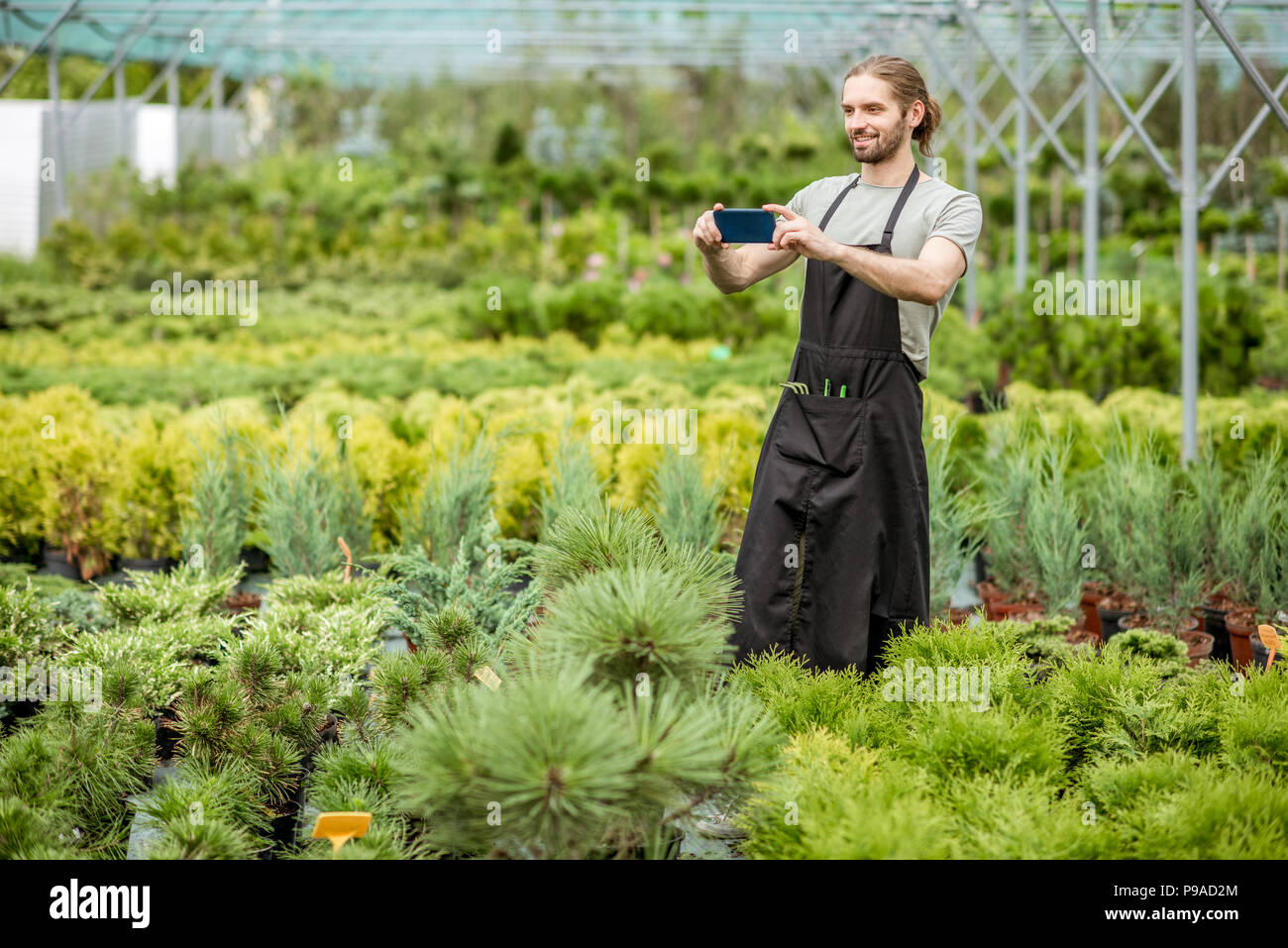 Gardener photographing plants Stock Photo - Alamy