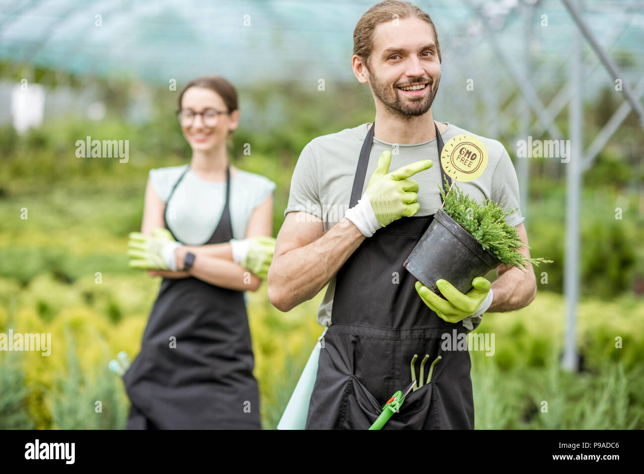 Hands greenhouse worker holding plant hi-res stock photography and ...