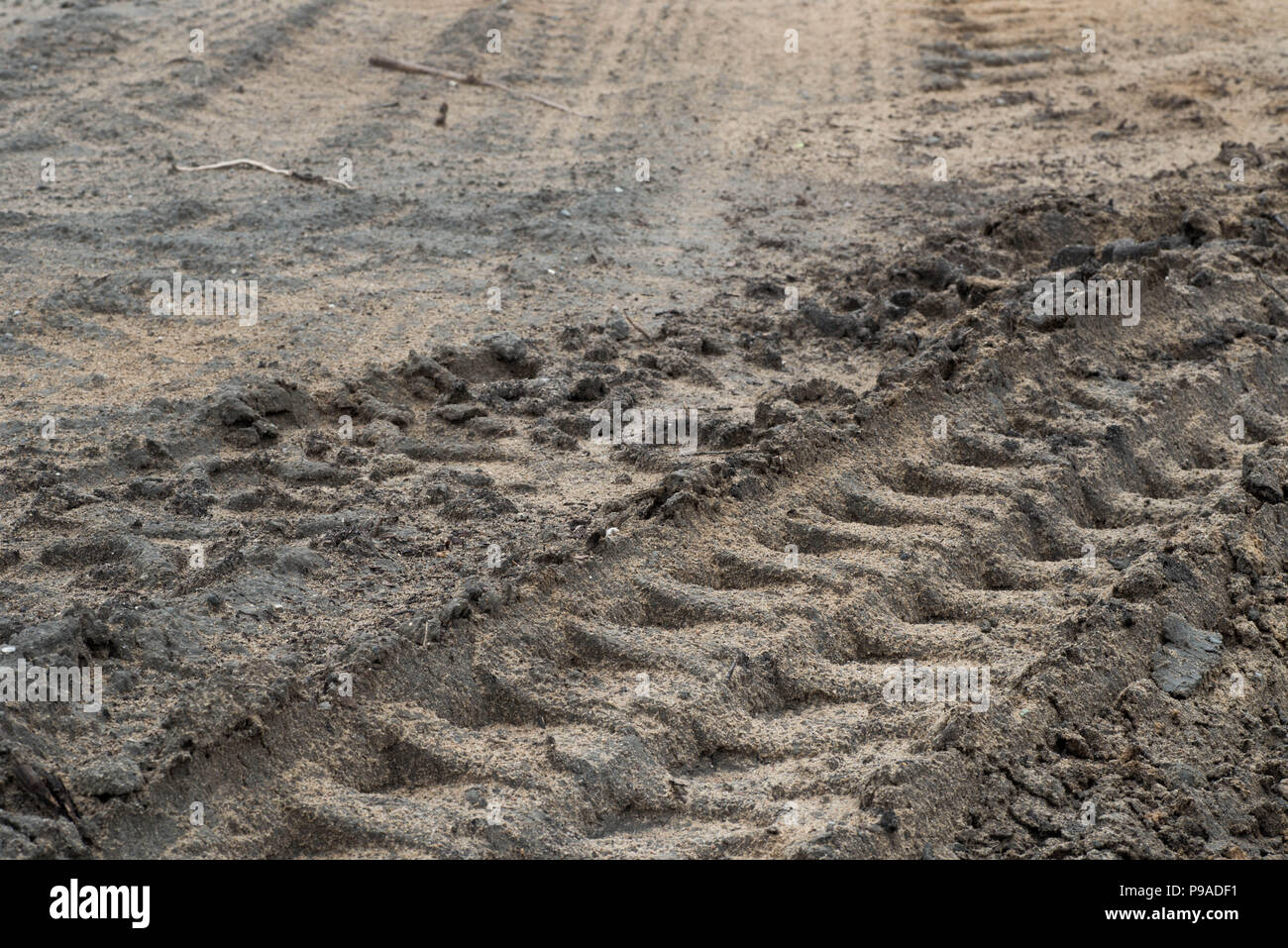 trail tracks in mud Stock Photo - Alamy