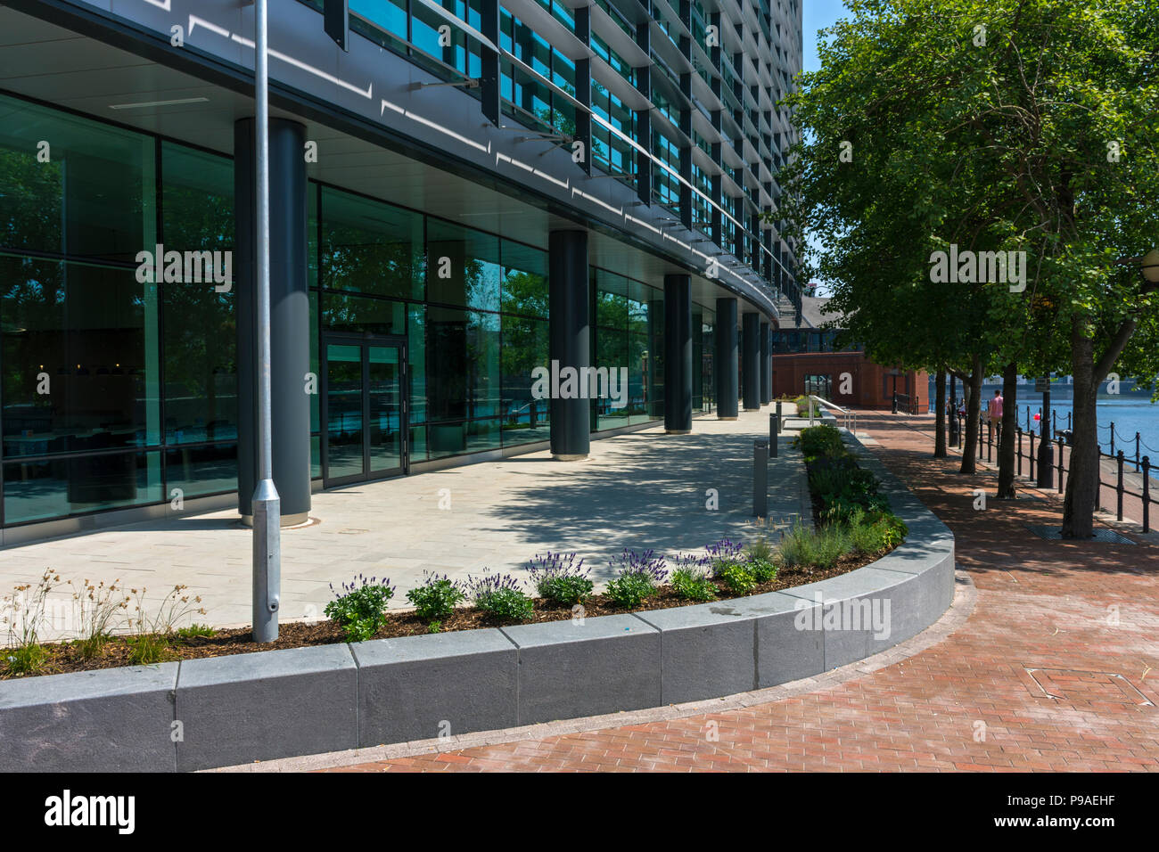 Office trees hi-res stock photography and images - Alamy