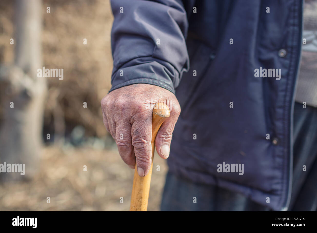 hand of a old man holding a cane Stock Photo - Alamy