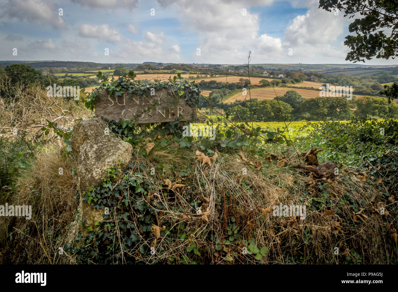 Picture of Sunny Corner in Cornwall Stock Photo - Alamy