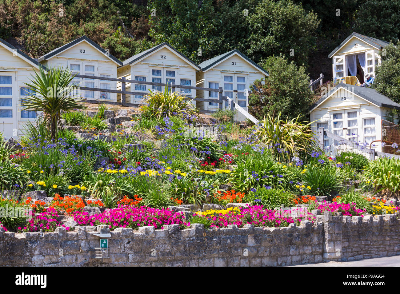 Colourful flowers and beach huts at Canford Cliffs, Poole, Dorset UK in ...