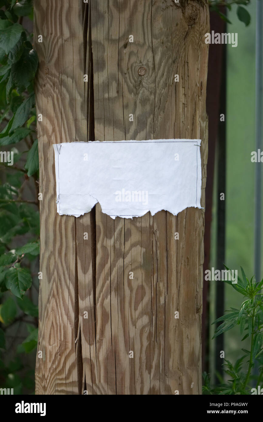 Clear white paper sheet on wooden column for advertisement or text ...