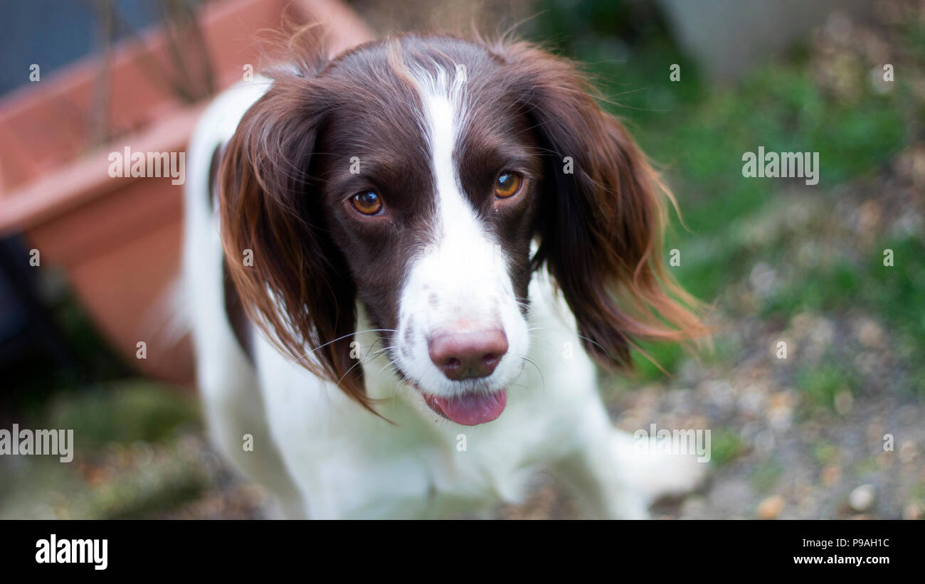 Some holiday snaps Stock Photo - Alamy