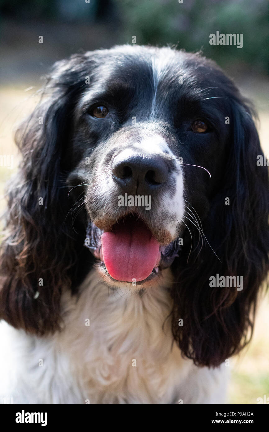 Some holiday snaps Stock Photo - Alamy