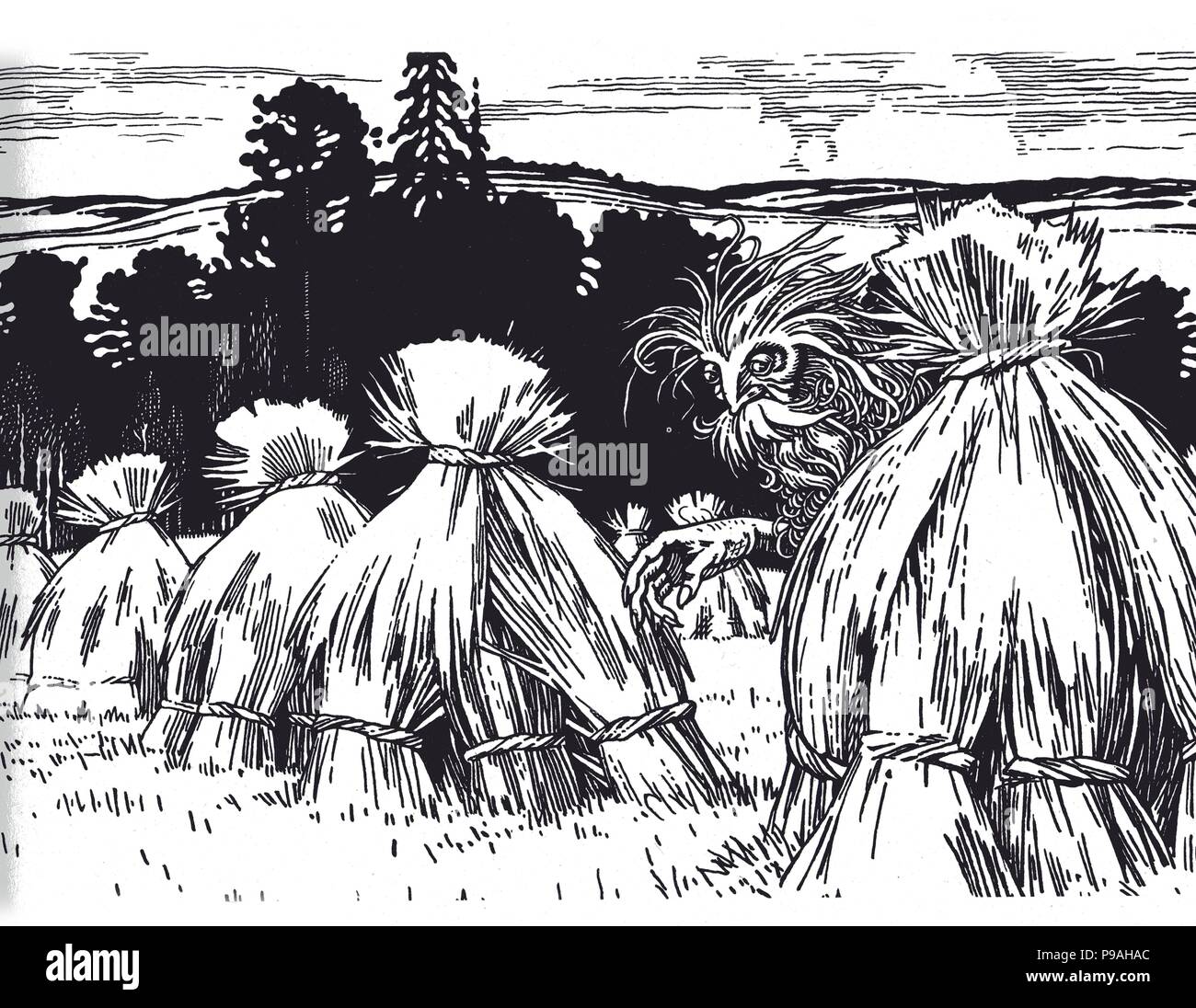 Museum of the dwarf book hi-res stock photography and images - Alamy