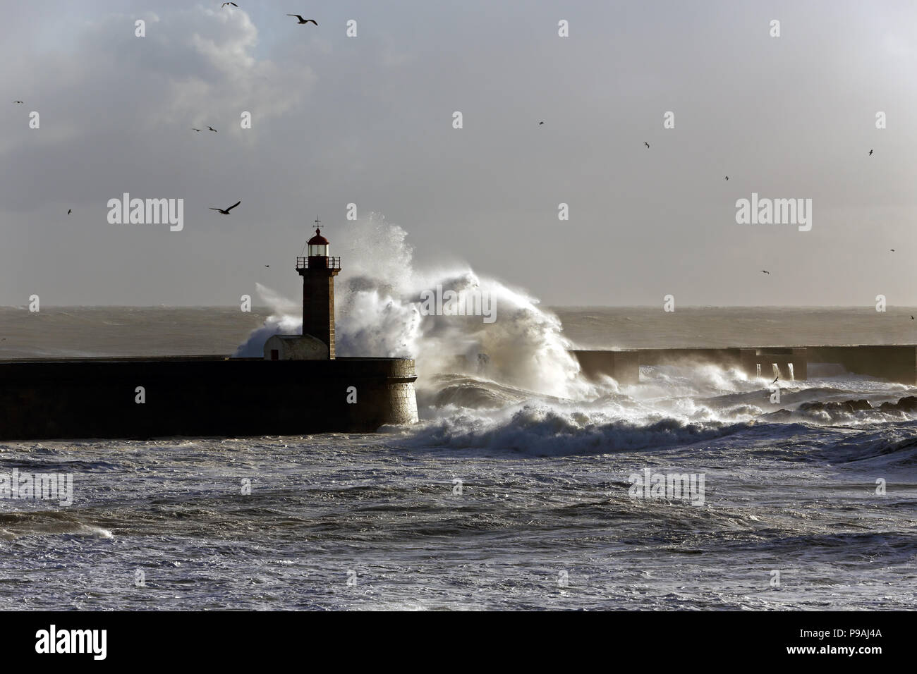 Dramatic big wave over lighthouse Stock Photo - Alamy
