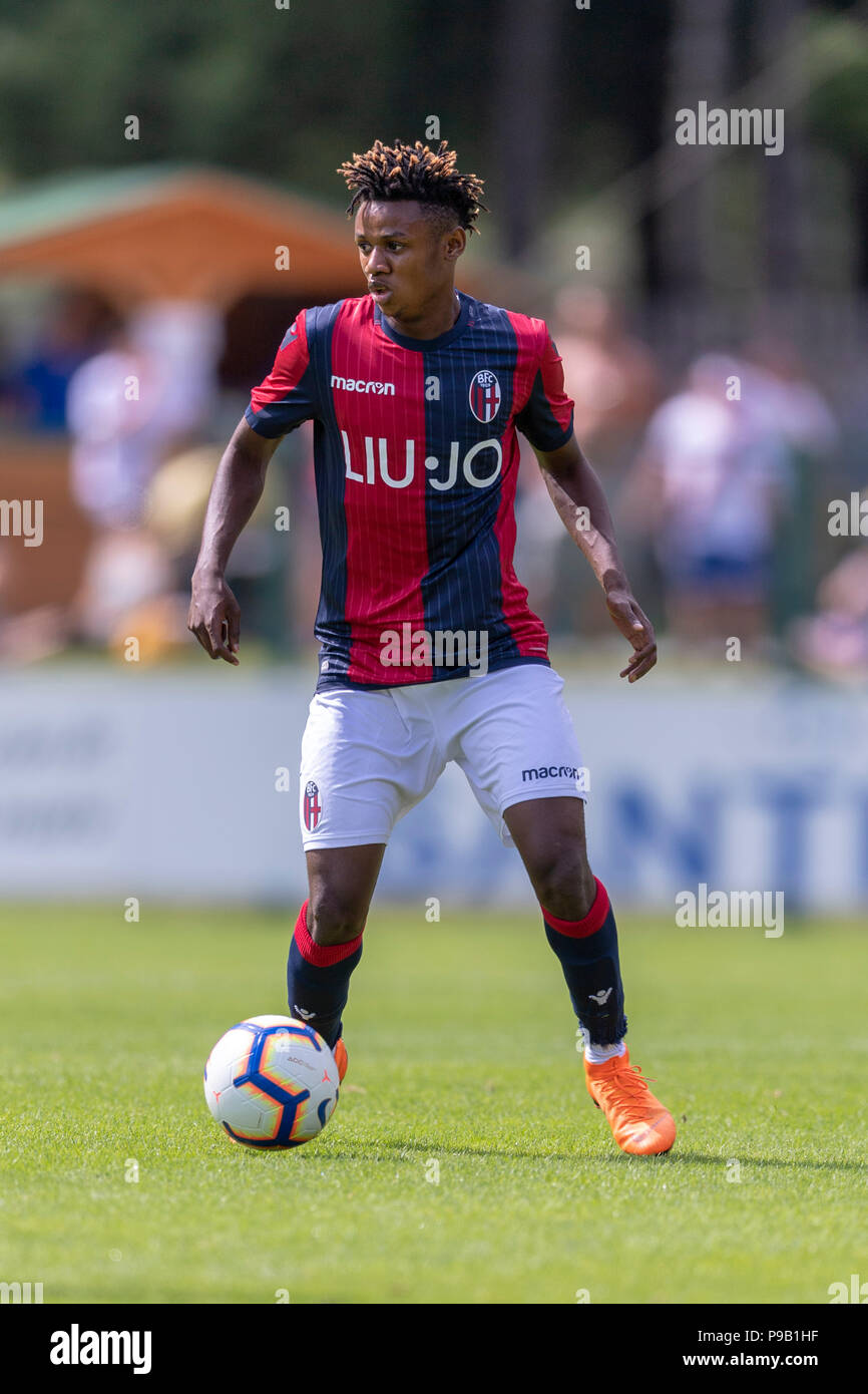 Michael kingsley hi-res stock photography and images - Alamy