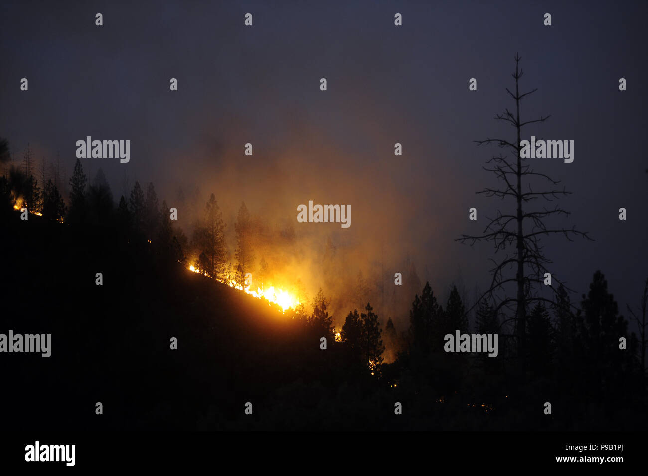 Retardant air tanker 2018 hi-res stock photography and images - Alamy