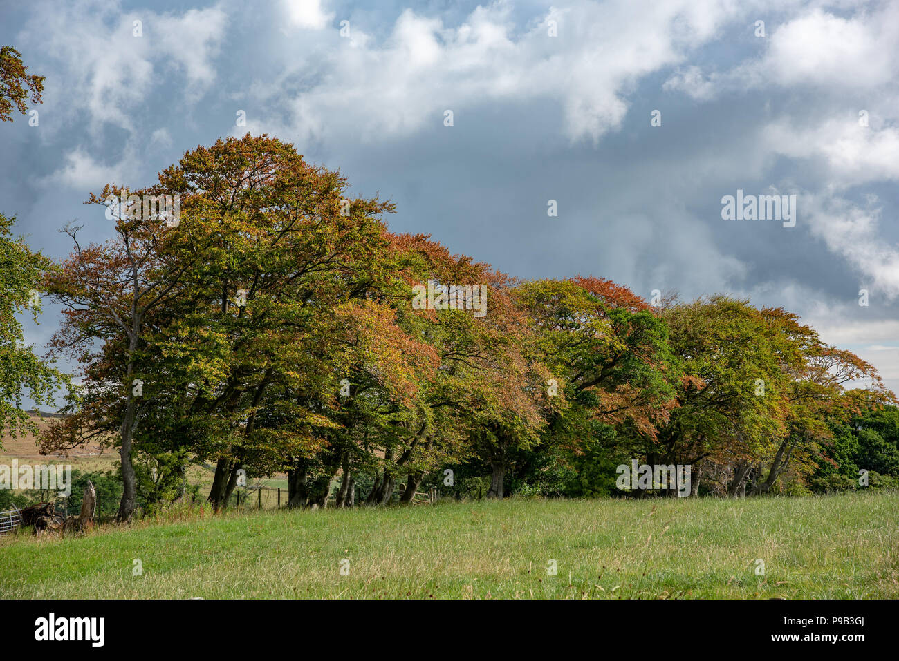 17th july hi-res stock photography and images - Alamy