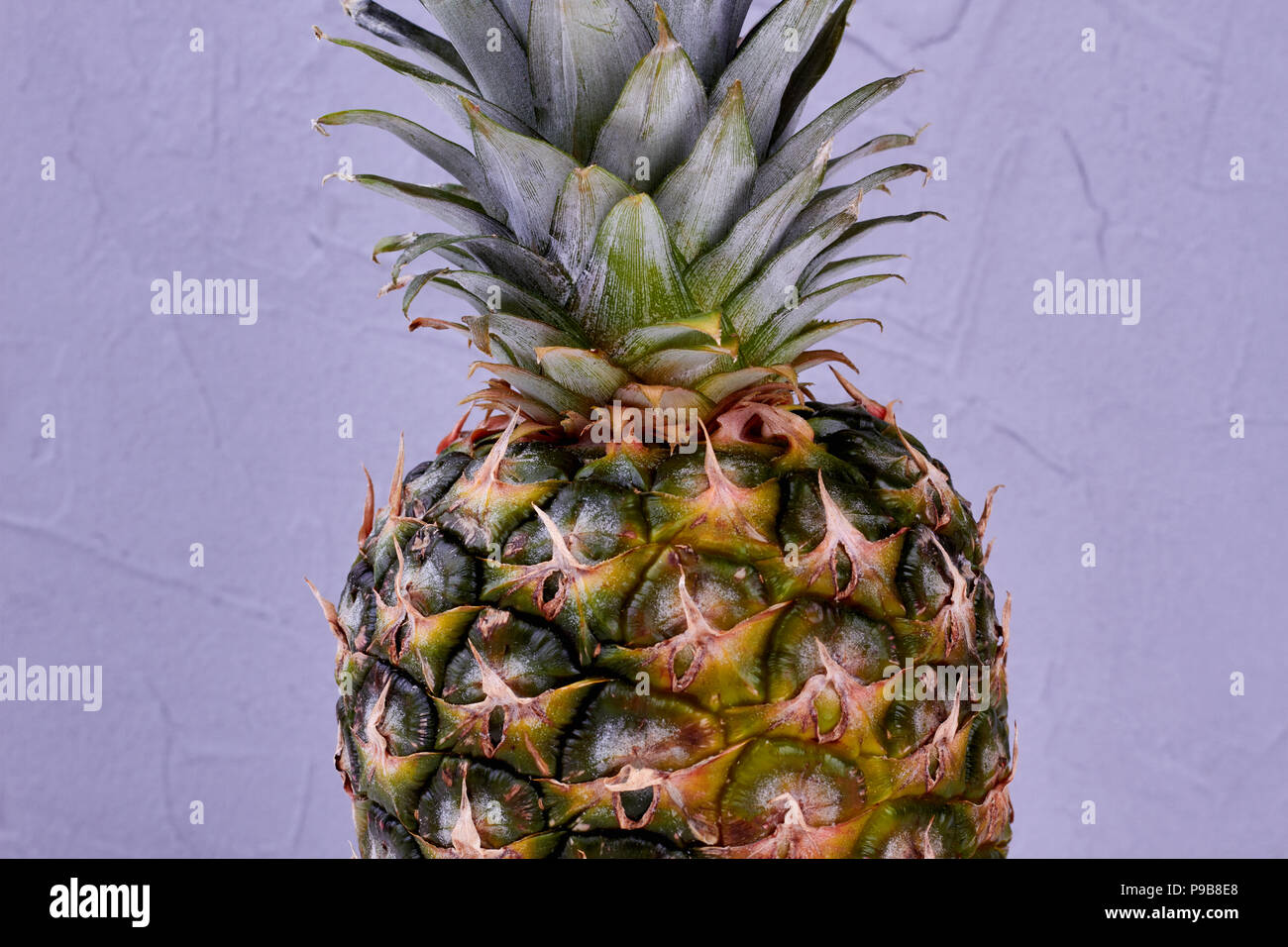 Fresh juicy pineapple close up. Whole pineapple fruit on grey textured ...