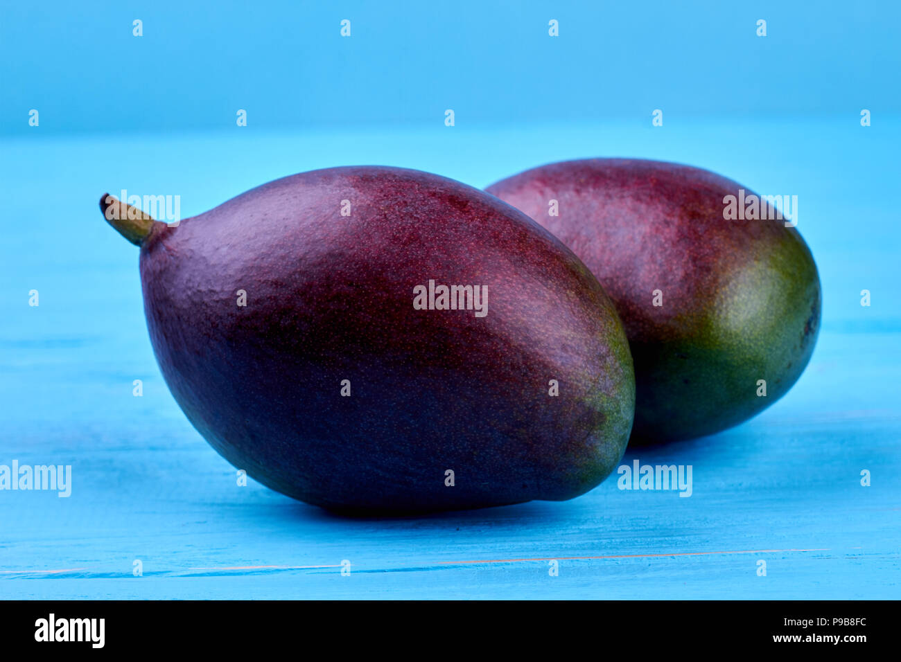 Delicious purple mango close up. Two ripe tasty mango fruits on blue ...