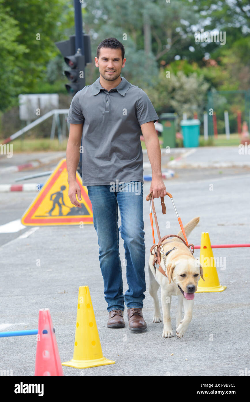 Service dog traffic light hi-res stock photography and images - Alamy