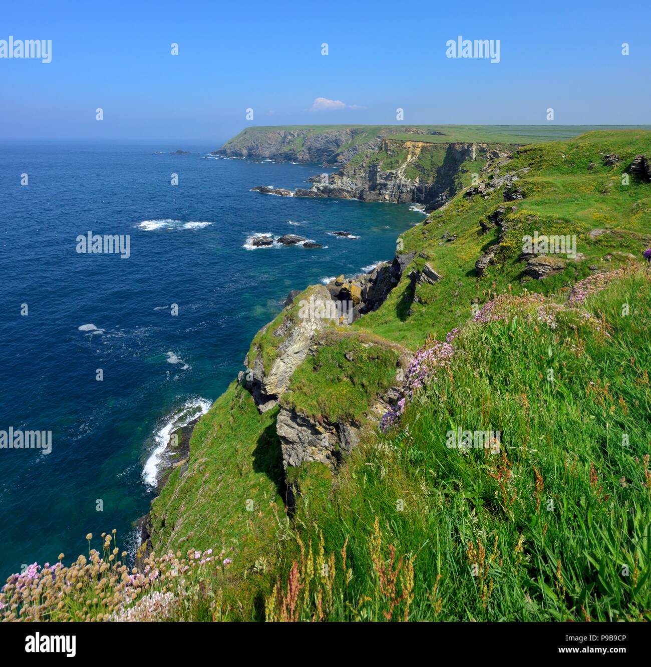 Godrevy point,Gwithian,Godrevy heritage coast,Cornwall,England,UK Stock ...